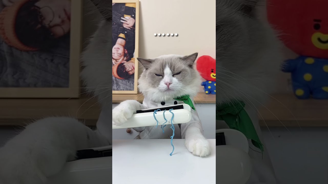 It ends brutally 😂 #thatlittlepuff #recipe #puffknowsbetter # ...