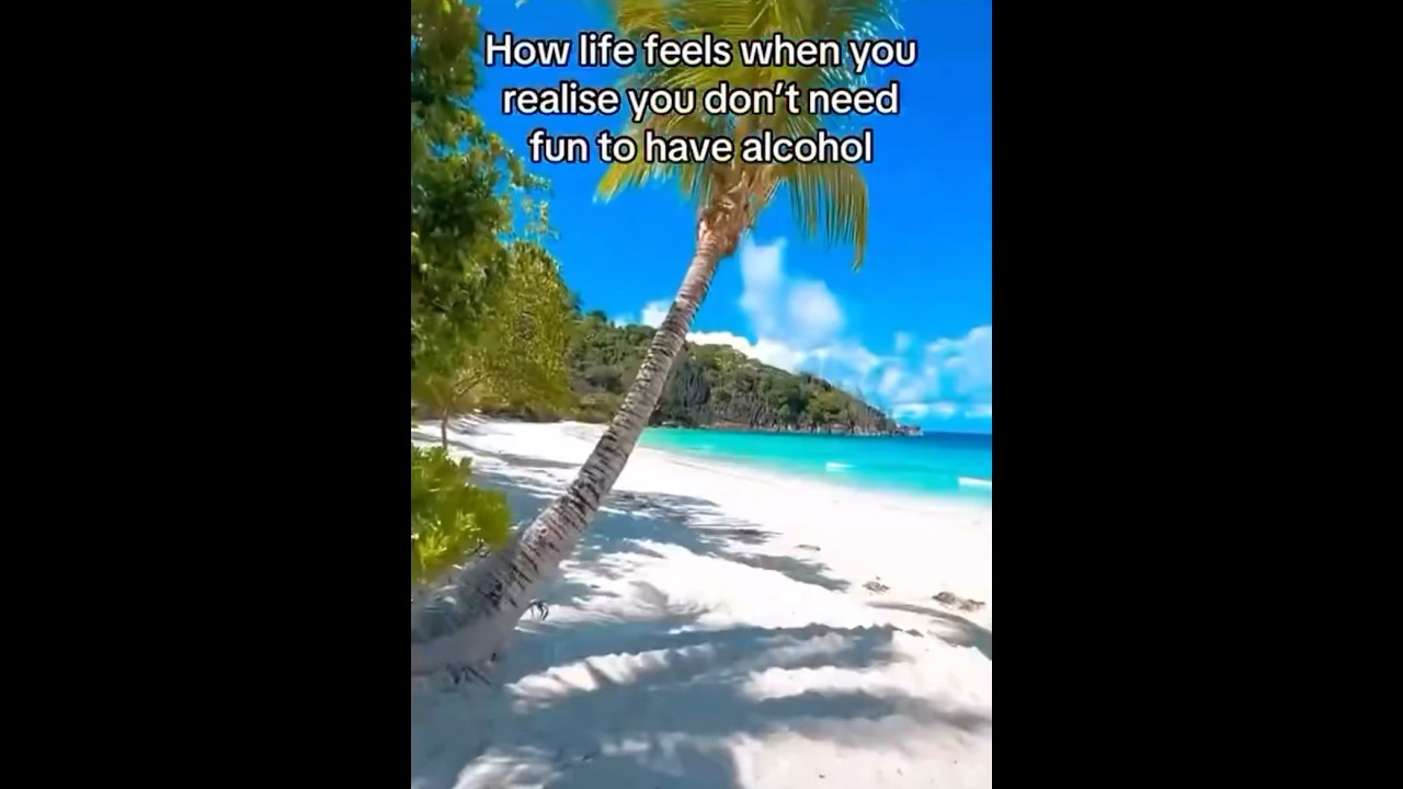 How life feels when you realize you don’t need fun to have alcohol ...