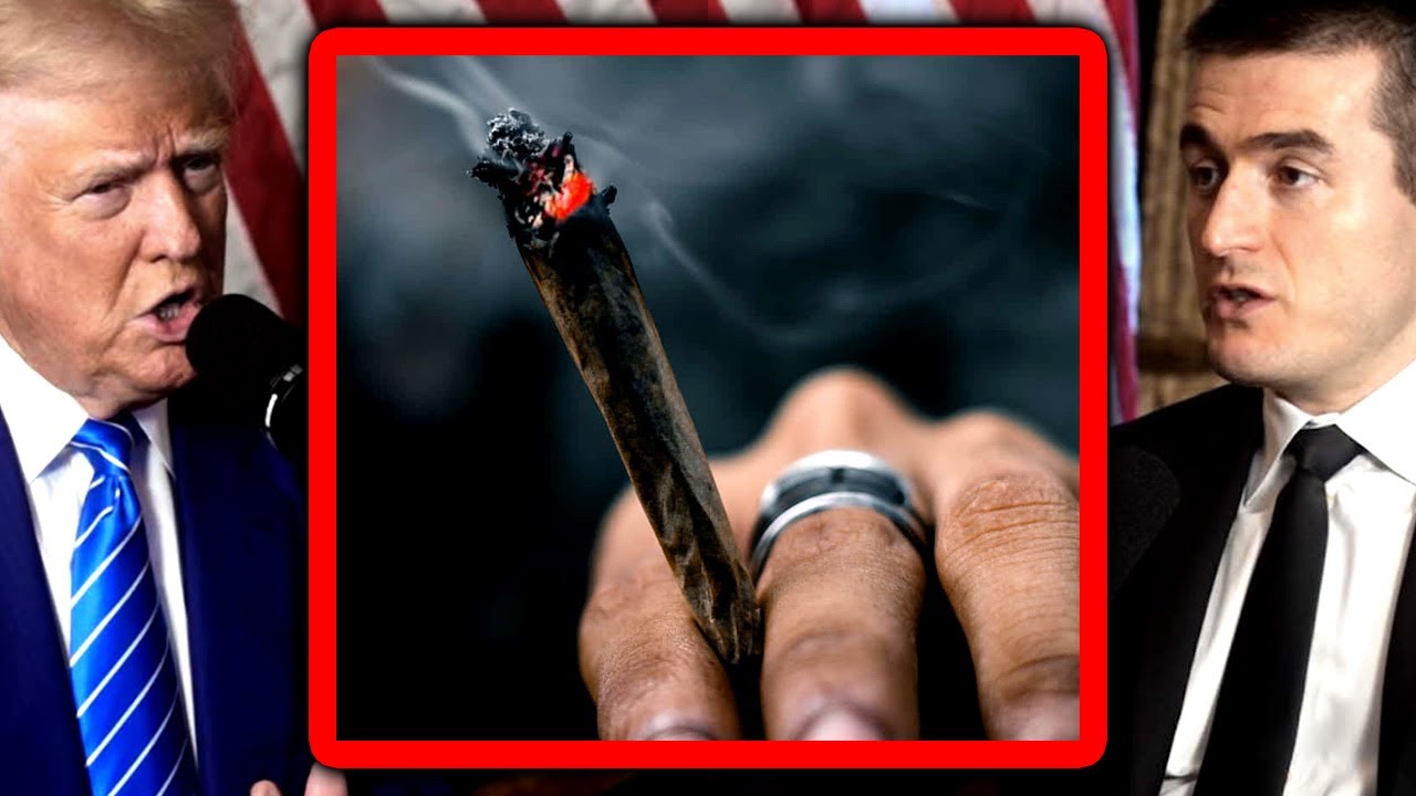 Donal Trump on marijuana | Donald Trump and Lex Fridman | Lex Clips
